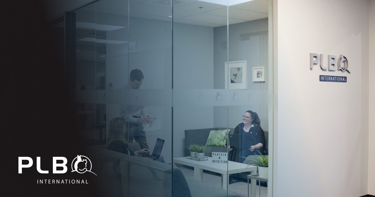 PLB International | Contact us